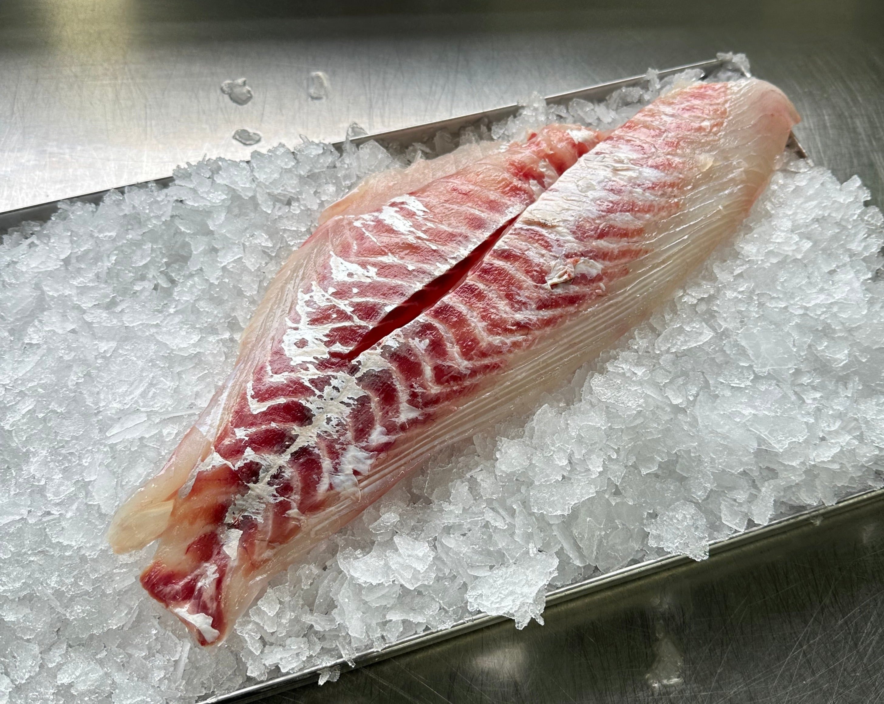 Fresh Snapper Fillets – Scott Seafood