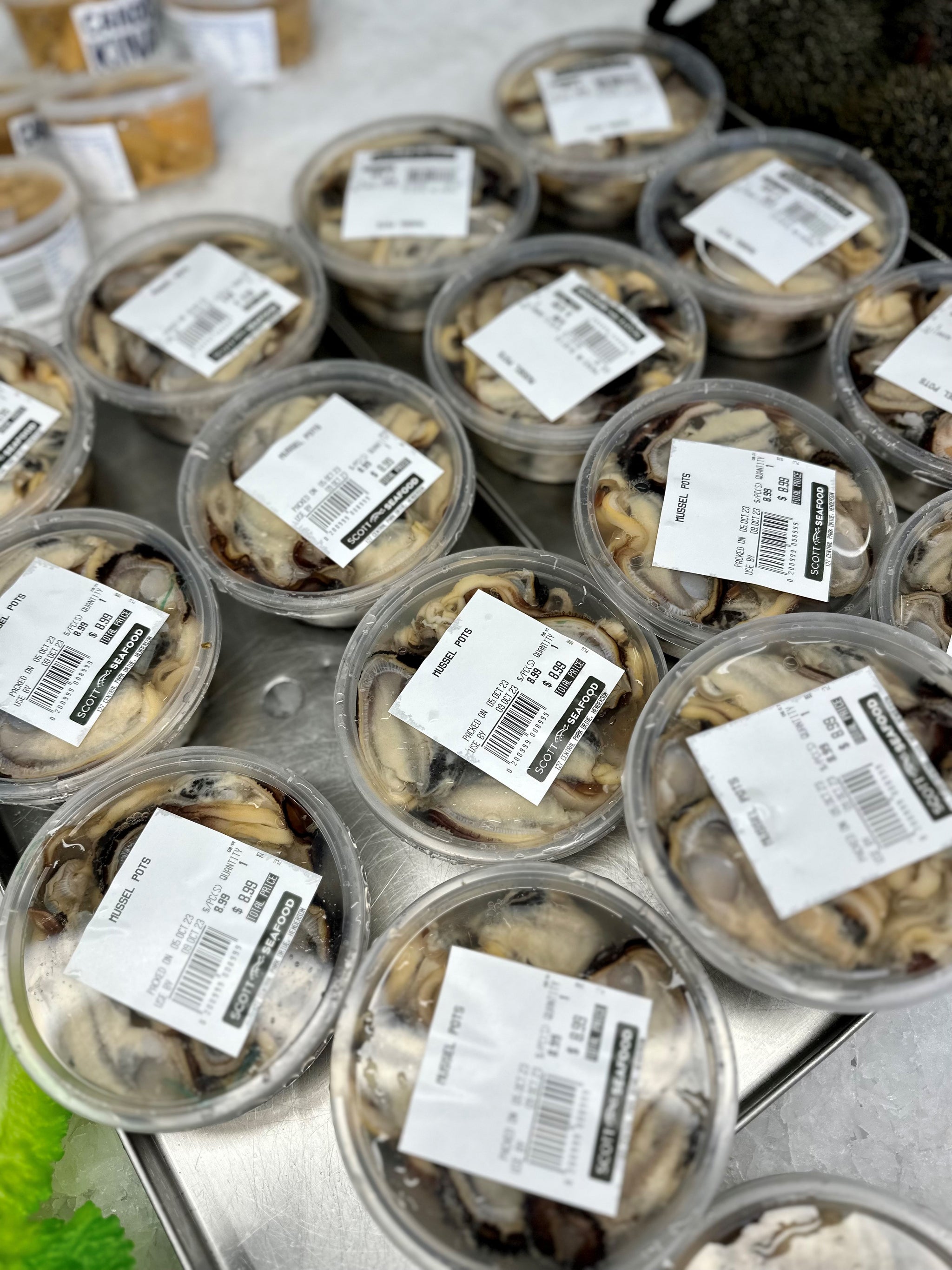 Fresh Mussel Meat Pot – Scott Seafood Orders