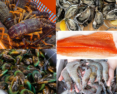 Shop Now! – Scott Seafood
