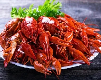Whole Cooked Crawfish 1KG – Scott Seafood